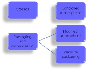 Modified atmosphere packaging (MAP) - Karya Polymer
